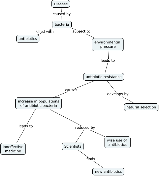 Bacteria Evolution